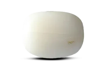 Buy White Coral Stone (Safed Moonga) Online at Best Price - Gemsroot