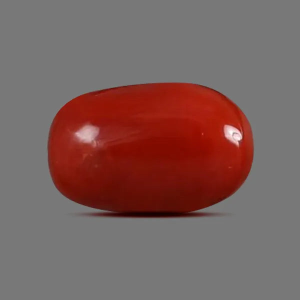 Buy Italy Red Coral 10.25 carats online by GemsRoot